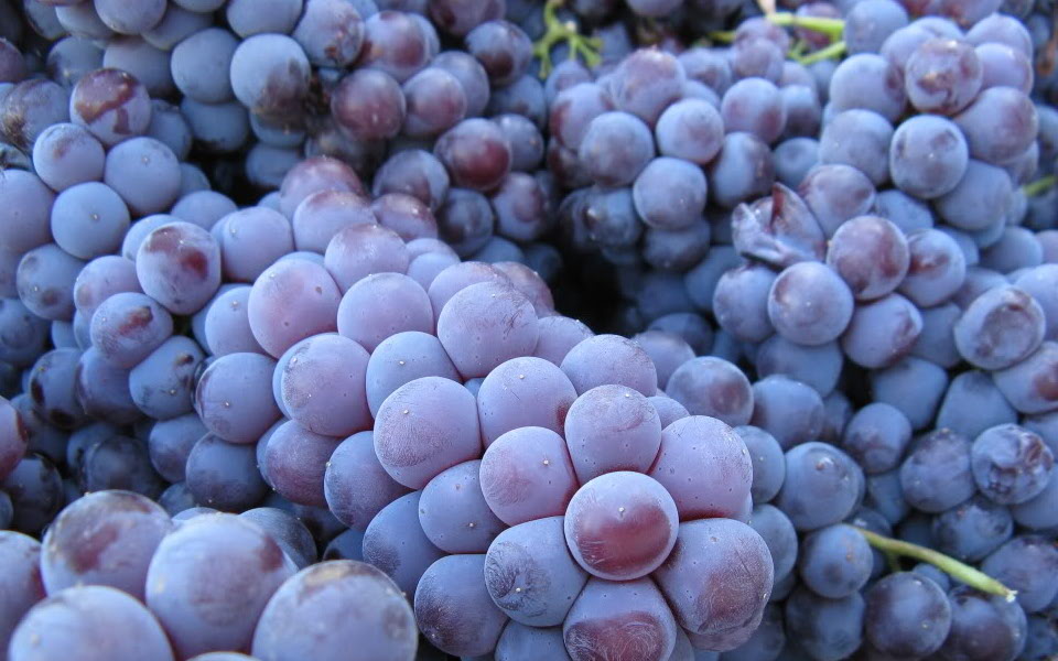 Recensione Barò con Uva Rossa di Nebbiolo: funziona davvero contro la ...