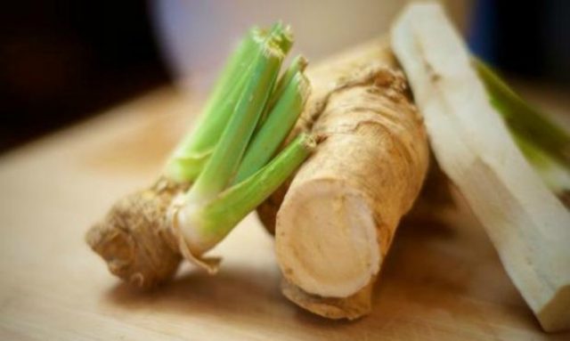 Rafano: proprietà, benefici e controindicazioni | Vivi Puro