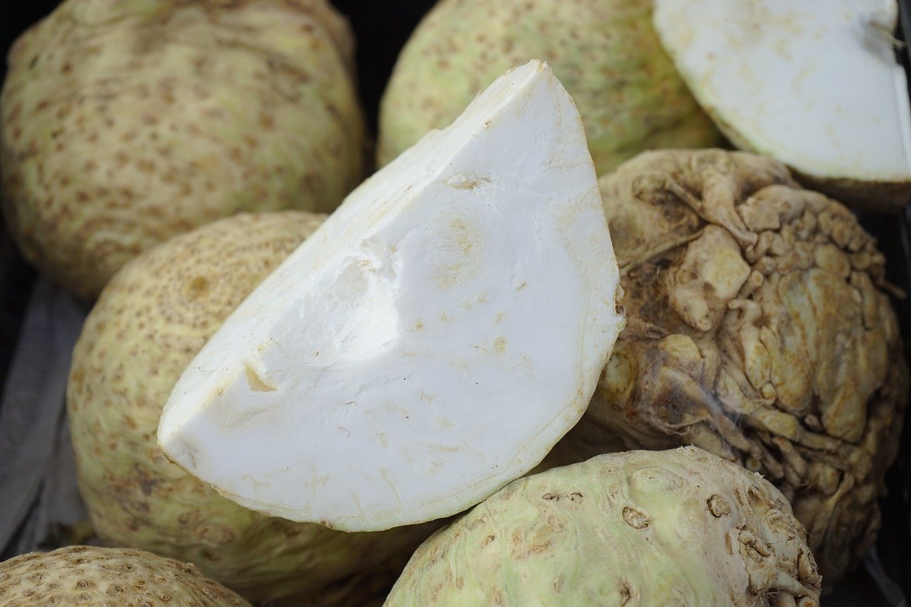 Rapa bianca: Proprietà, benefici e come usarla in cucina | Vivipuro.it