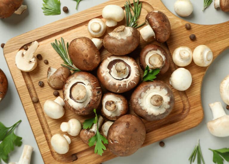 Tipi di funghi: classificazione, commestibilità, accortezze da sapere ...