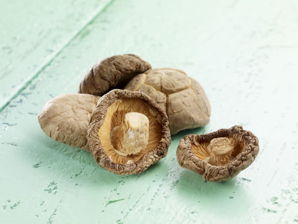 Fungo shiitake: caratteristiche, proprietà e come assumerlo | Vivi Puro